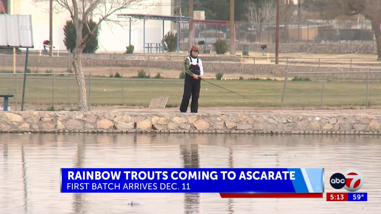 Ascarate Lake to be stocked with rainbow trout this winter - KVIA