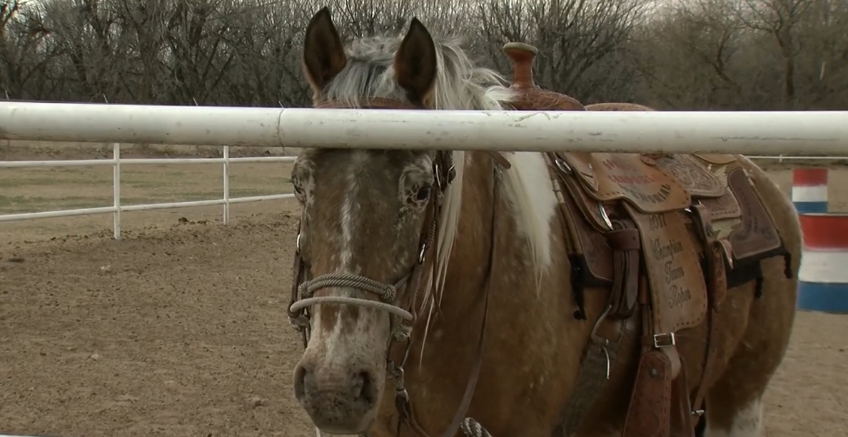 Weekend fun at Rio Grande ranch - KVIA