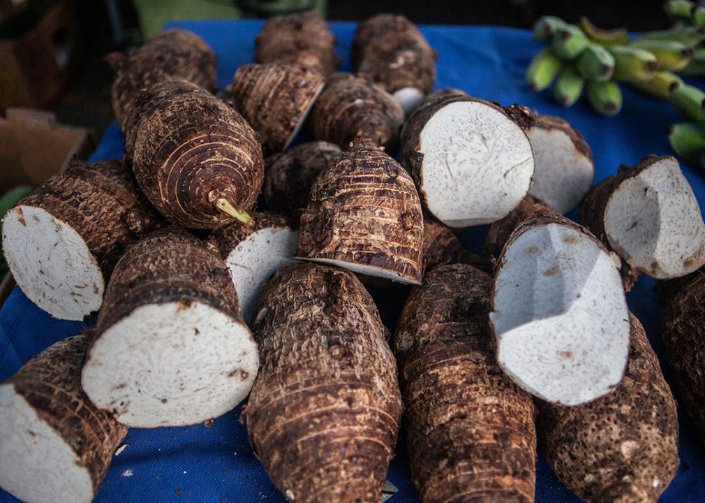 Hawaiian taro takes root in Oregon - KVIA