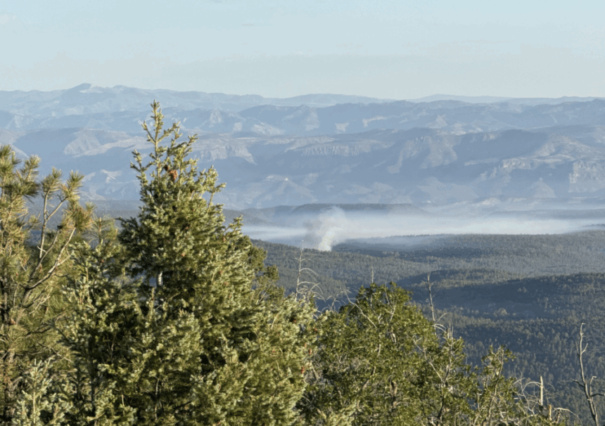 New Mexico Archives - KVIA