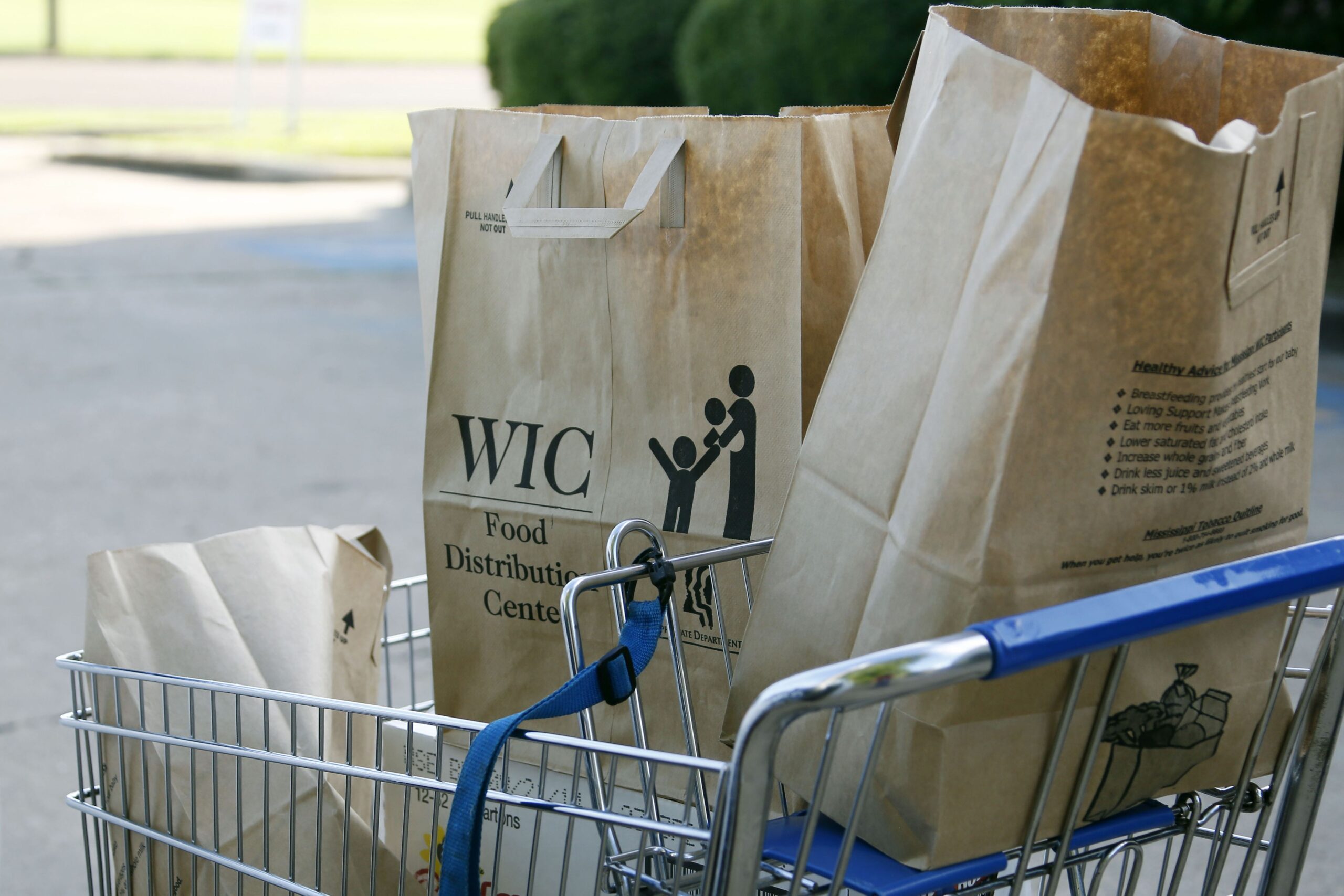 Millions of moms and young kids could lose WIC food assistance within ...