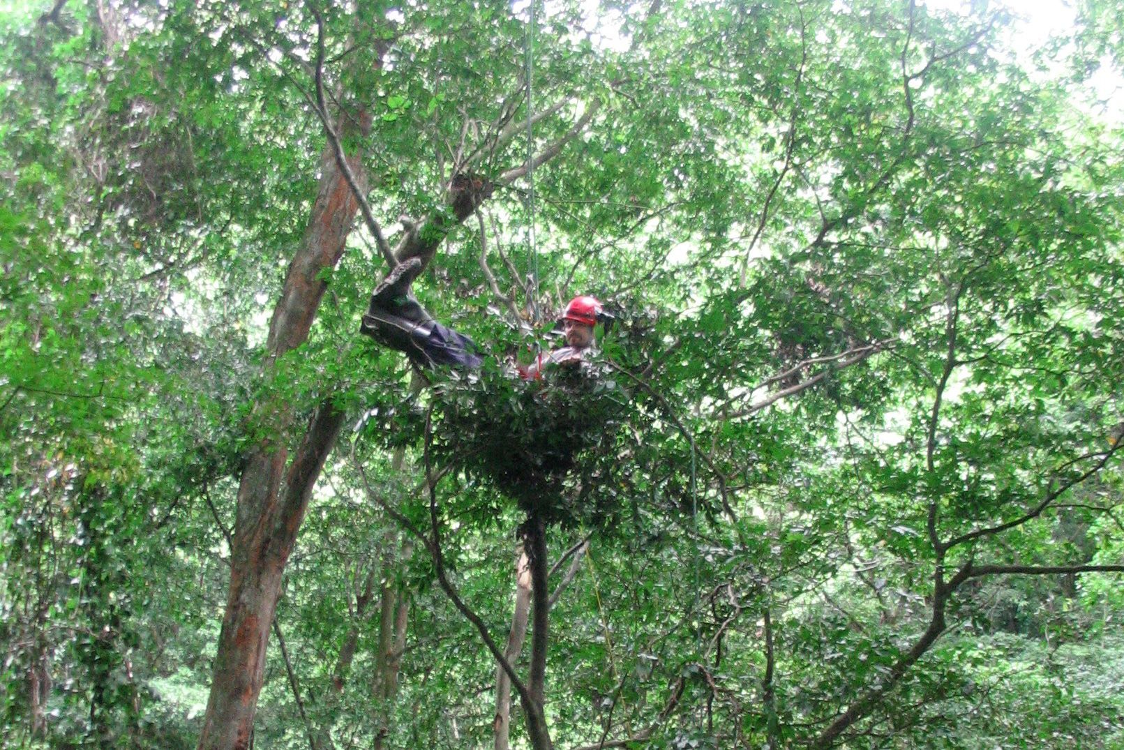One way to improve your sleep? Imitate the habits of hunter-gatherers ...